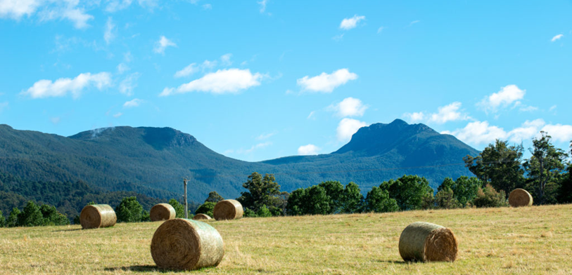 Rural Living Zone Study | Engage Huon Valley
